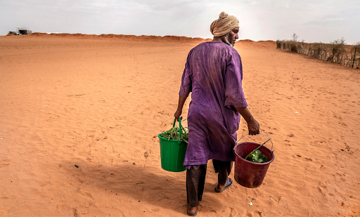 Generating Rigorous Evidence on the Effectiveness of Humanitarian ...