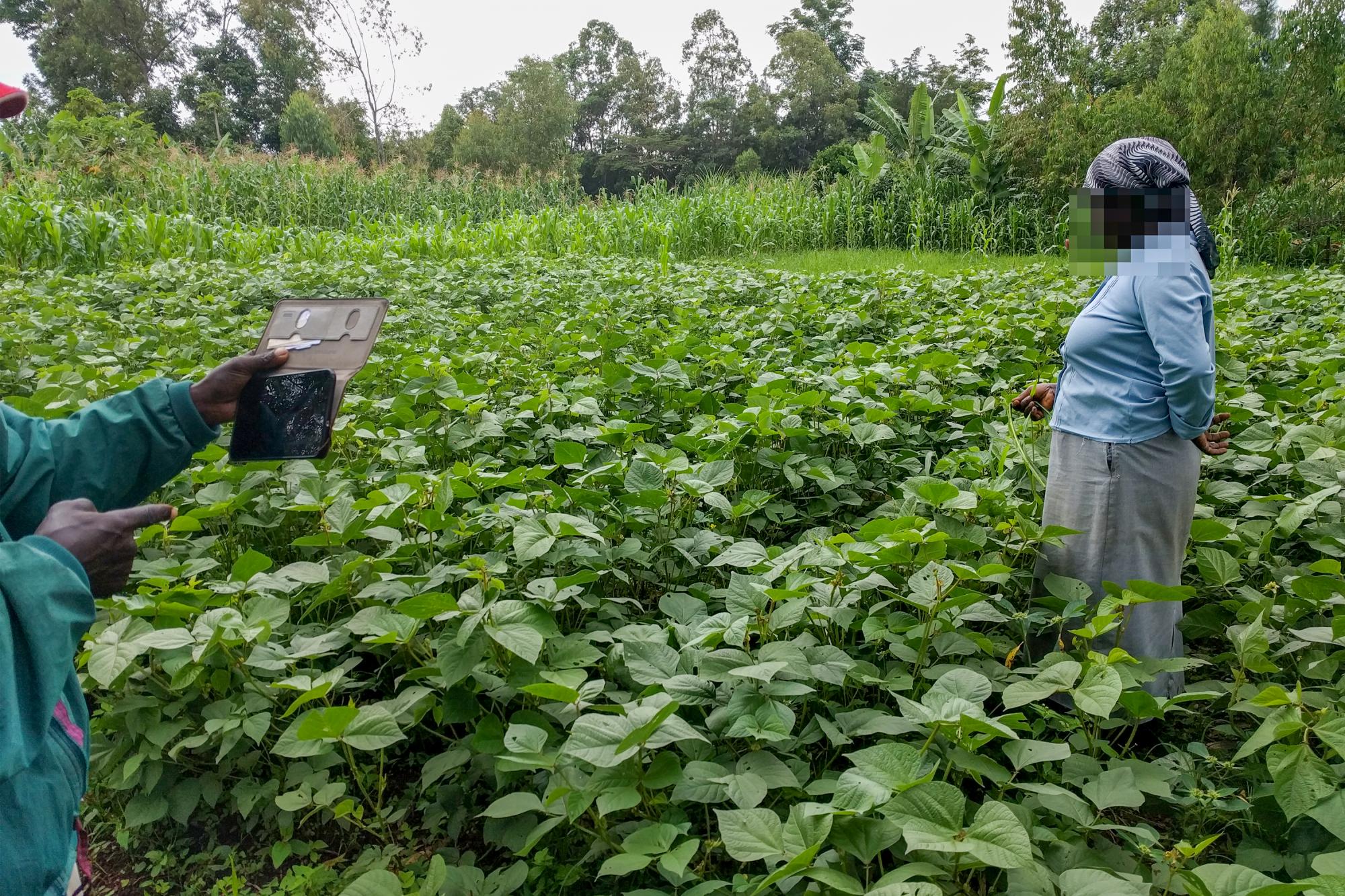 Farmer Farming